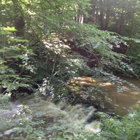 Jesmond Dene Nature Area - Jesmond