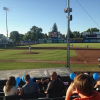 Melaleuca Field - 8 tips