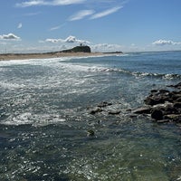 Nobbys Beach - 14 tips from 1102 visitors