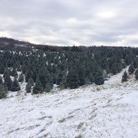 Battenfeld's Christmas Tree Farm - Rhinebeck, NY