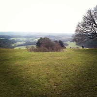 Newlands Corner - Nature Preserve
