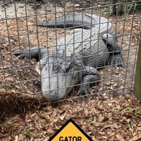 Edisto Island Serpentarium - 4 tips from 162 visitors