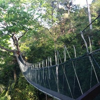 Canopy Walkway, FRIM