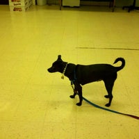 Pennsylvania SPCA - Animal Shelter in Philadelphia