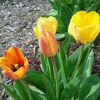 The Shed - Spring Green, WI