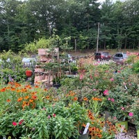 Allandale Farm - Jamaica Hills - Pond - 259 Allandale Rd