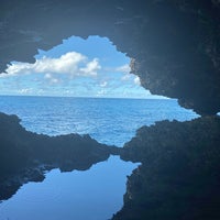 Animal Flower Cave - Cave