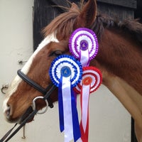 Cornish Riding Holidays, Wheal Buller Riding School, - Equestrian Facility