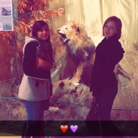 Acvariu - Str. 14 Noiembrie