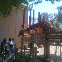 Fresno Chaffee Zoo - Zoo in West Fresno