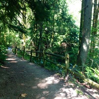 Ravenna Park - Seattle, WA