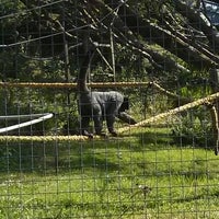 The Monkey Sanctuary - Zoo in Looe