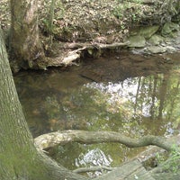 Big Trees Forest Preserve - Sandy Springs, GA