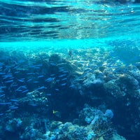 Nabq Bay - Bay