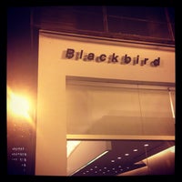 Blackbird - New American Restaurant in West Loop