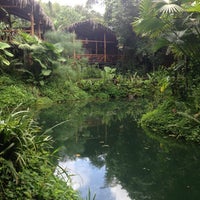 Mindo Lago - 5 tips from 70 visitors