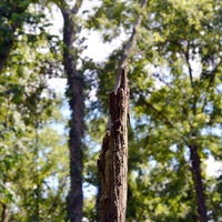 Withrow Nature Preserve - 2 tips