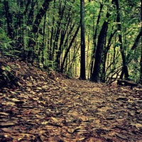 Low Gap Park - Low Gap Regional Park