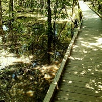 Cochran Shoals - Chattahoochee River - East Cobb - 32 tips from 1406 ...