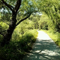 Cochran Shoals - Chattahoochee River - East Cobb - 32 tips from 1406 ...