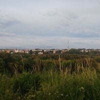 Parco Regionale Del Pineto - Park in Primavalle