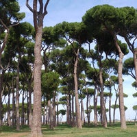 Parco Regionale Del Pineto - Park in Primavalle