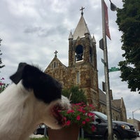 Locust Point Dog Park - Dog Park in Baltimore