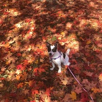 Latrobe Park - Latrobe Park - Fort Ave.