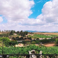 Churon Winery - 10 tips