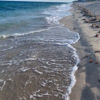 Gulfstream Park - Beach