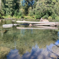 Cedar River Trail - Renton, WA