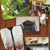 Crooked Vine/Stony Ridge Winery - 7 tips