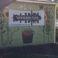 Springdale Farm - 13 tips from 459 visitors