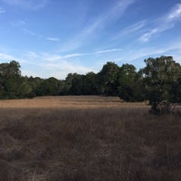 Earthquake Trail - Hiking Trail in Point Reyes Station