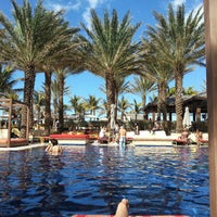 Cain at The Cove - Paradise Island Dr