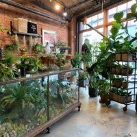 Glasswing - Capitol Hill - 6 tips