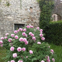 Villa Peyron al Bosco di Fontelucente - 1 tip