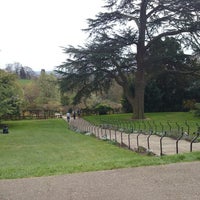 Streatham Common - London - 10 tips from 837 visitors