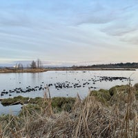 Union Bay Natural Area - University District - 5 tips