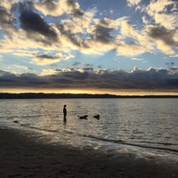 Pt Chevalier beach - Beach in Point Chevalier