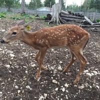 Deer Ranch - Saint Ignace, MI