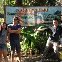 Cebu Zoo - 1 tip
