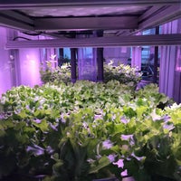 INFARM - Food and Beverage Service in Kreuzberg