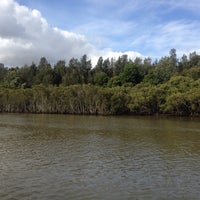 Rydalmere Ferry Wharf - Parramatta - 2 tips