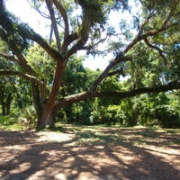 Sea Pines Forest Preserve - Park