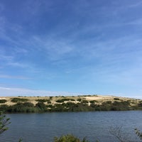 Ptown Sand Dunes - Beach
