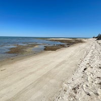 Cape Cod Museum Of Natural History - 7 tips from 462 visitors