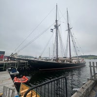 Bluenose ll - 143 visitors