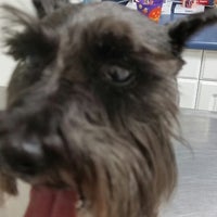 Alta Loma Animal Hospital - Rancho Cucamonga, CA