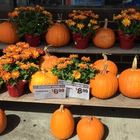 Pathmark - 12 tips from 859 visitors